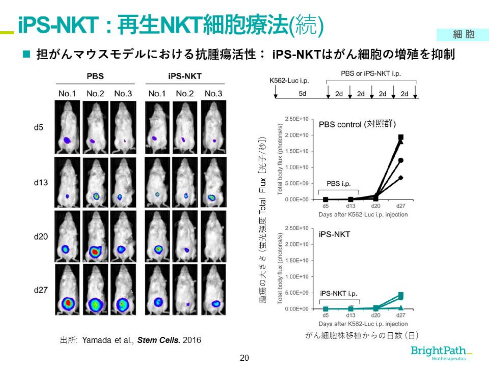 ブライトパス・バイオ株式会社